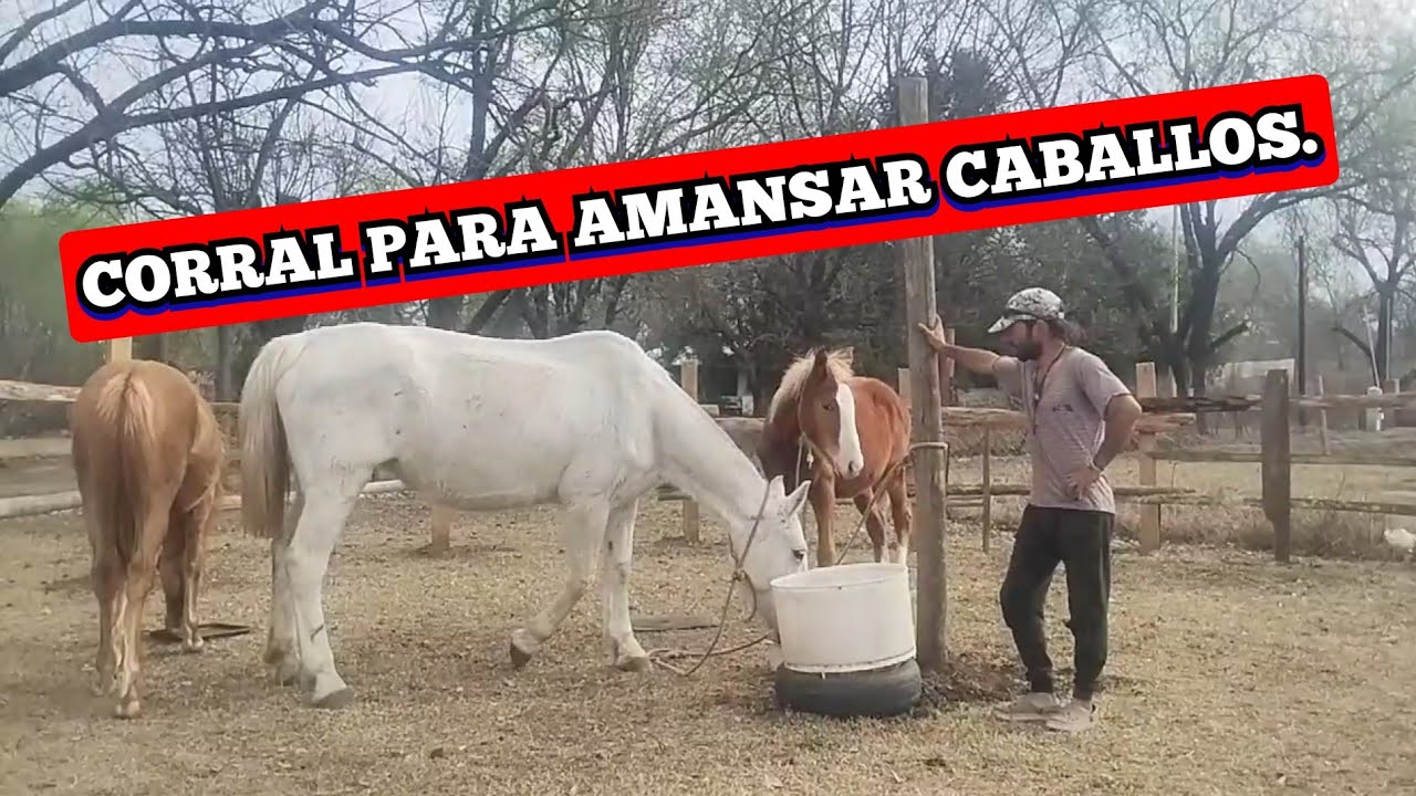 Cómo hacer un corral para domar caballos. - YouTube