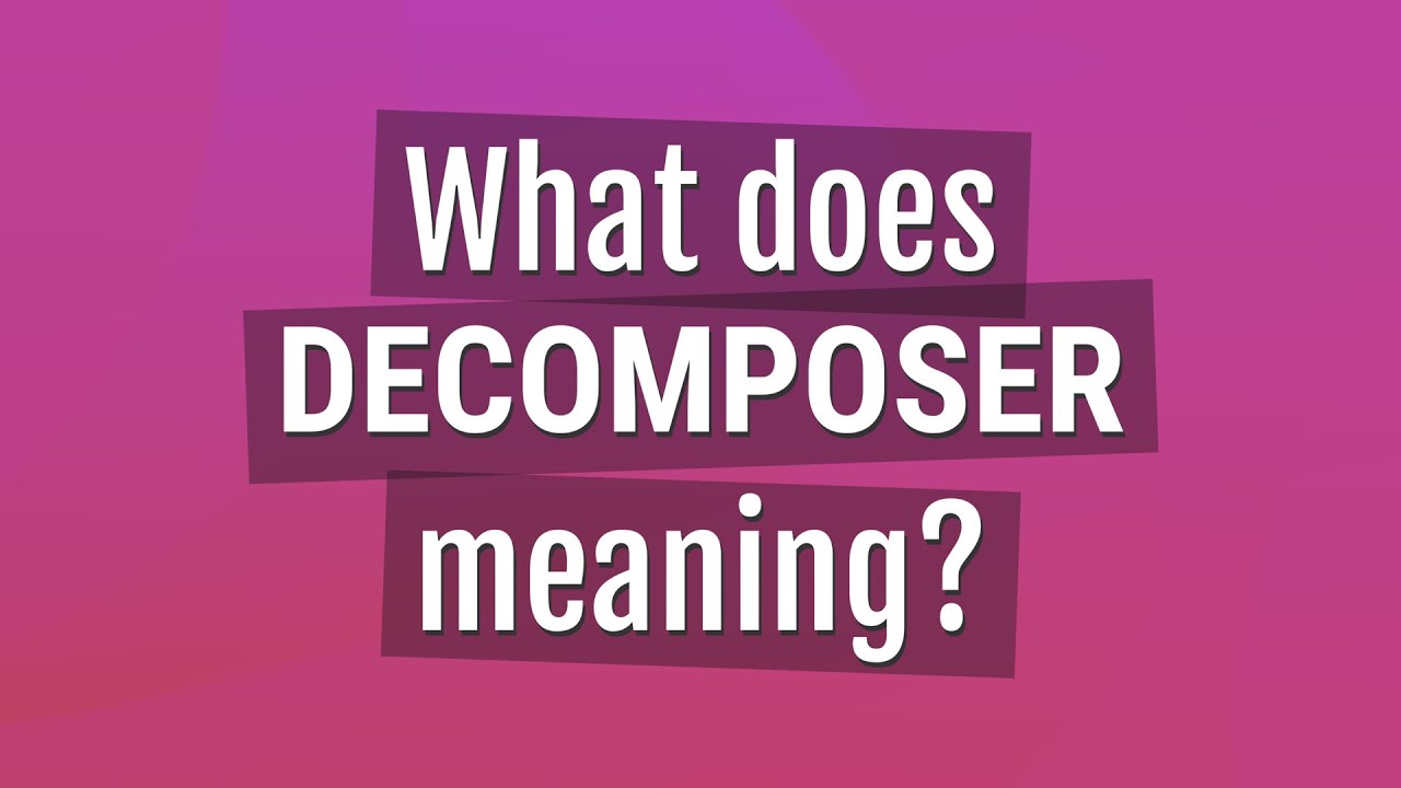 What Does Decomposer Meaning YouTube what-does-decomposer-meaning-youtube
