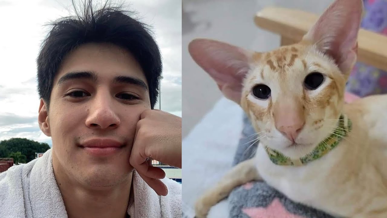 ALBIE CASIÑO GINAWANG PROFILE ANG NAGVIRAL NA MEME NG PUSA NA KAHAWIG ...