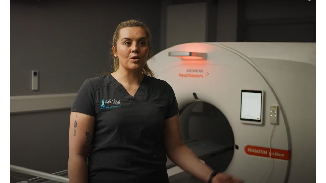 Ark Vets, Galway - YouTube