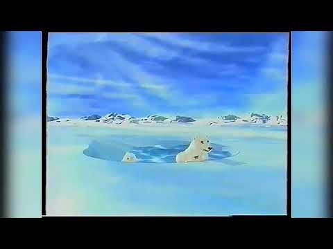 Darty Les Ours Polaires 1999-2009 (Version Longue)