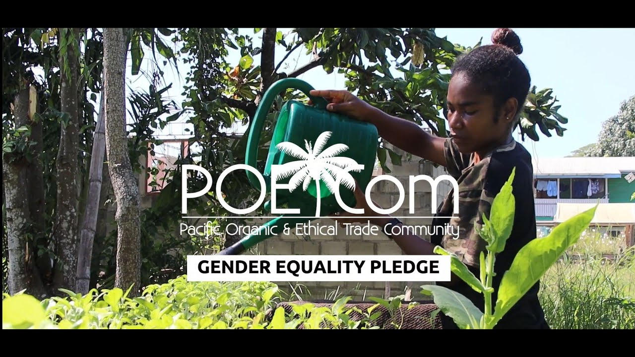 POETCom Gender Equality Pledge - YouTube
