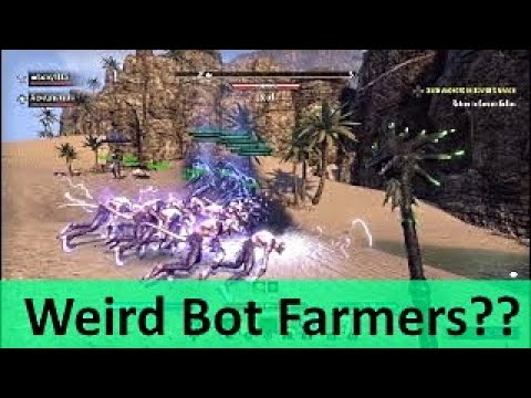 ESO Bot Farmers?? Weird Elder Scrolls Online - YouTube
