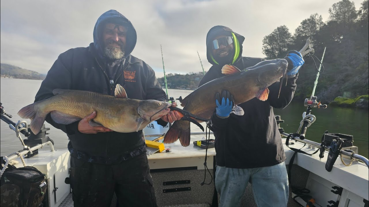Pandemic_Fishing / Hookem Big Rods land 27lb MONSTER CATFISH during ...