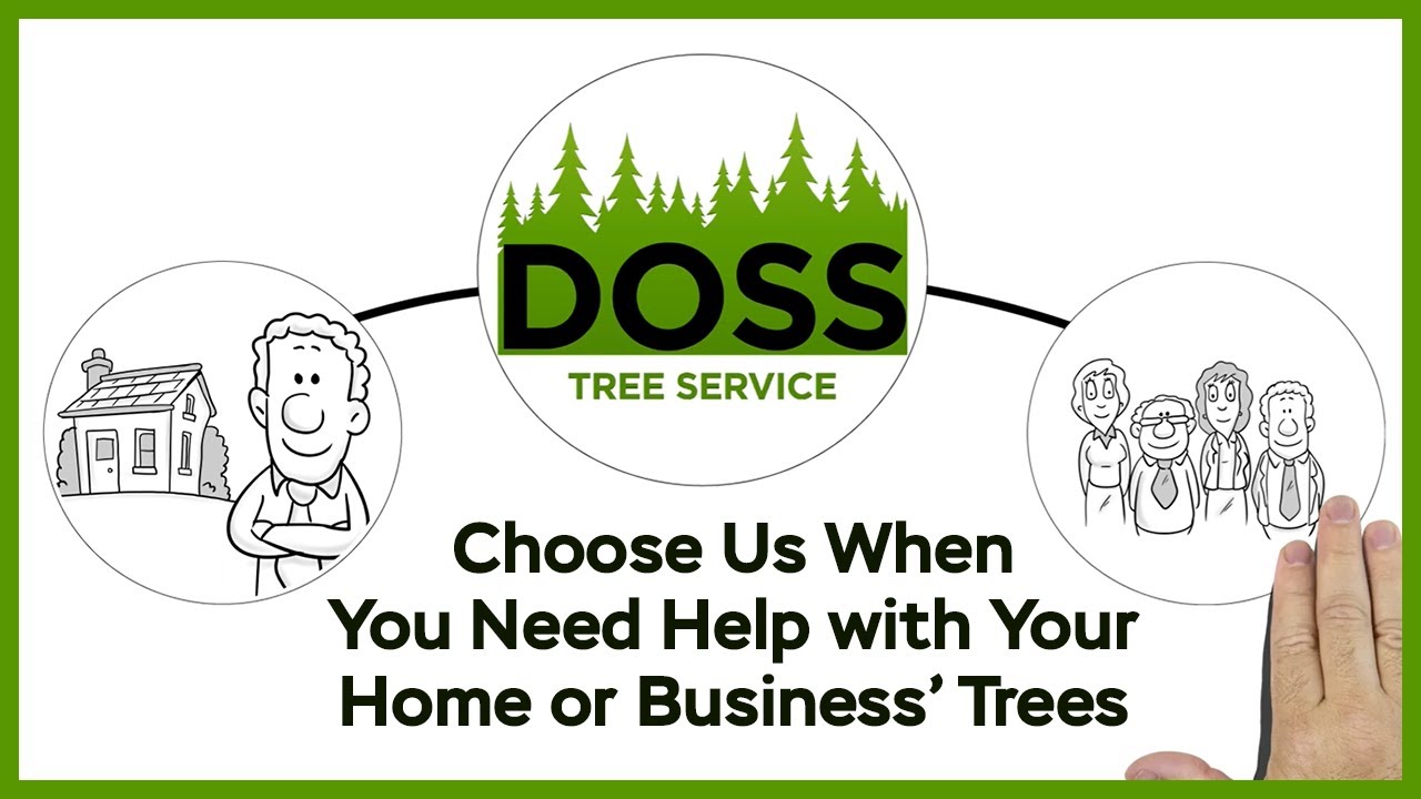At Doss Tree Service, We Provide All the Tree Services You Could Need ...