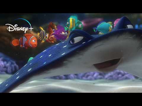 Finding Nemo - Nemo's First Day of School (Movie Clip)