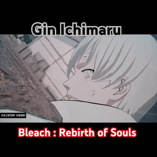 Gin Ichimaru | Bleach : Rebirth of Souls - YouTube