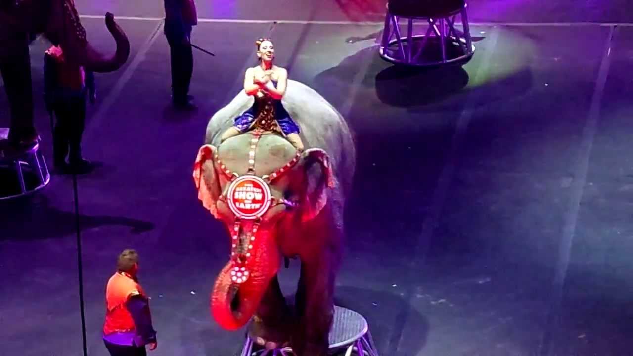 Elephants perform at circus 10-28-13 - YouTube