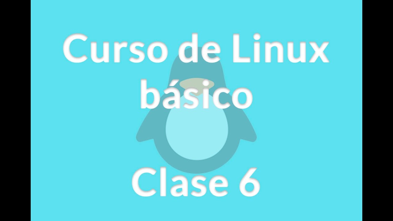 Curso de Linux básico - 6. Qué es una Shell, uso de Bash y Variables de ...