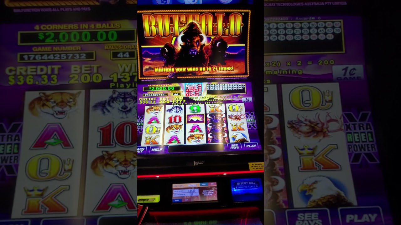 Buffalo Slot at Kickapoo Lucky Eagle Casino Eagle Pass TX 01 17 2021 ...