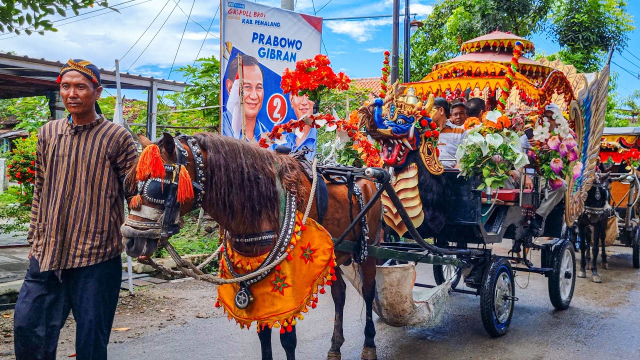 KUDA | KUDA DELMAN - NAIK KUDA KENCANA | WHEELS ON THE BUS, DELMAN ...