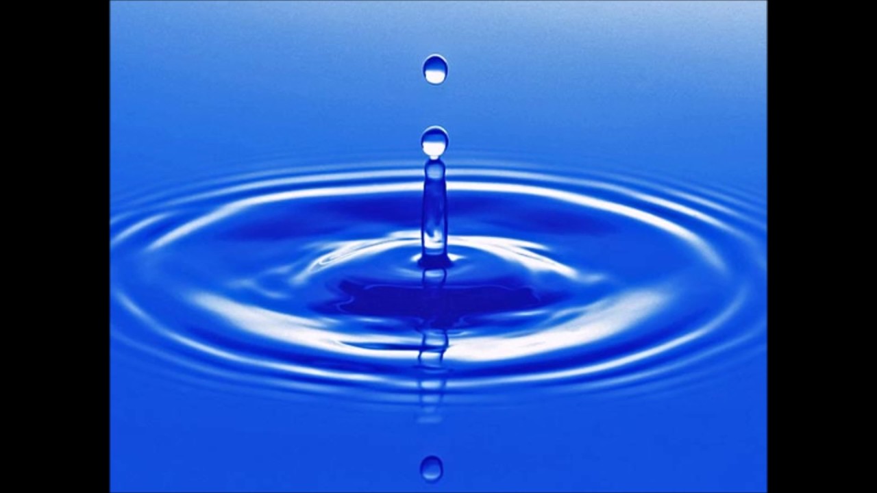 Morgan Van Dam Trickle - YouTube