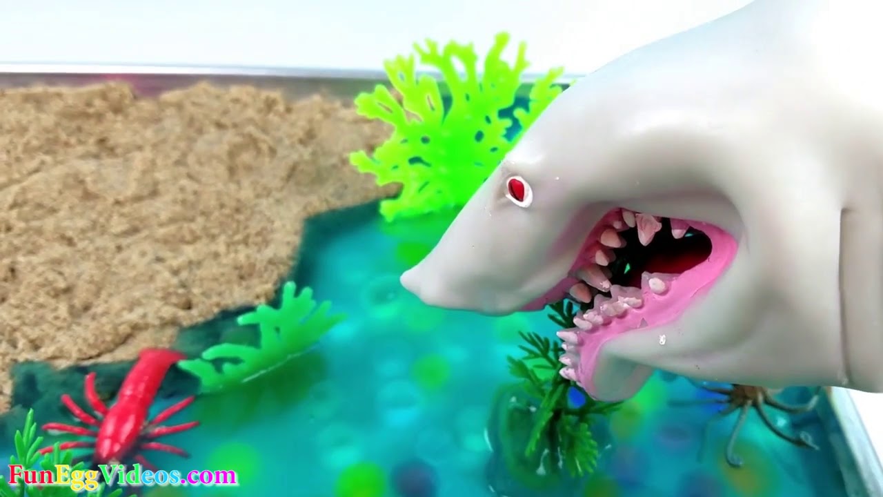 Learn Sea Animals Names with Shark Attack in Orbeez pool & Hand Puppet ...