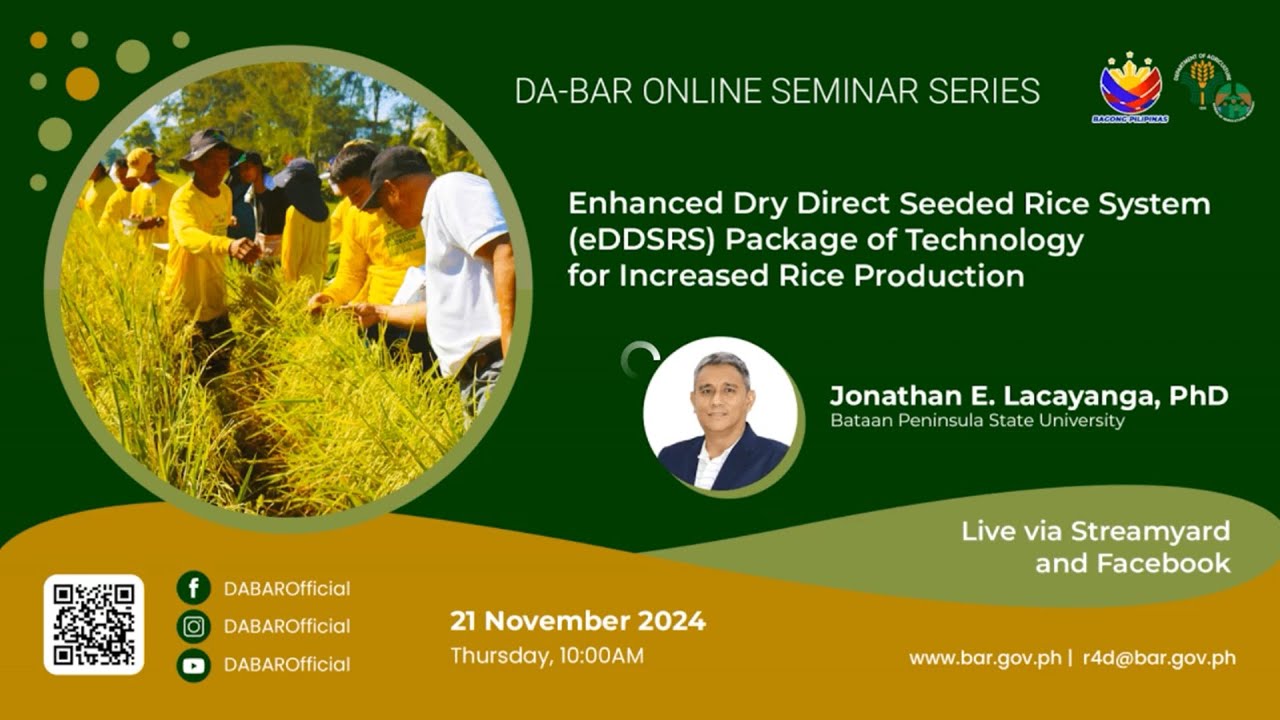 Enhanced Dry Direct Seeded Rice System eDDSRS Package of Technology for ...
