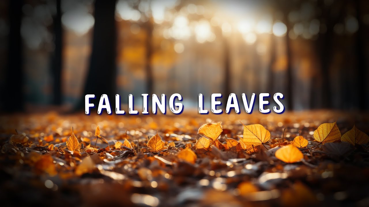 Autumn Ambience 🍂 FALLING LEAVES 🍂~ 4K HD lofi Fall Radio & Music 2023 ...