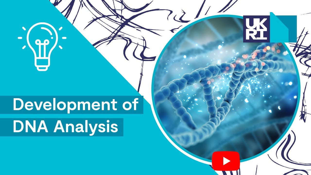 Development of DNA Analysis | From the Double Helix to the Southern ...