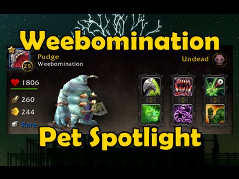 Weebomination - Pet Spotlight - YouTube