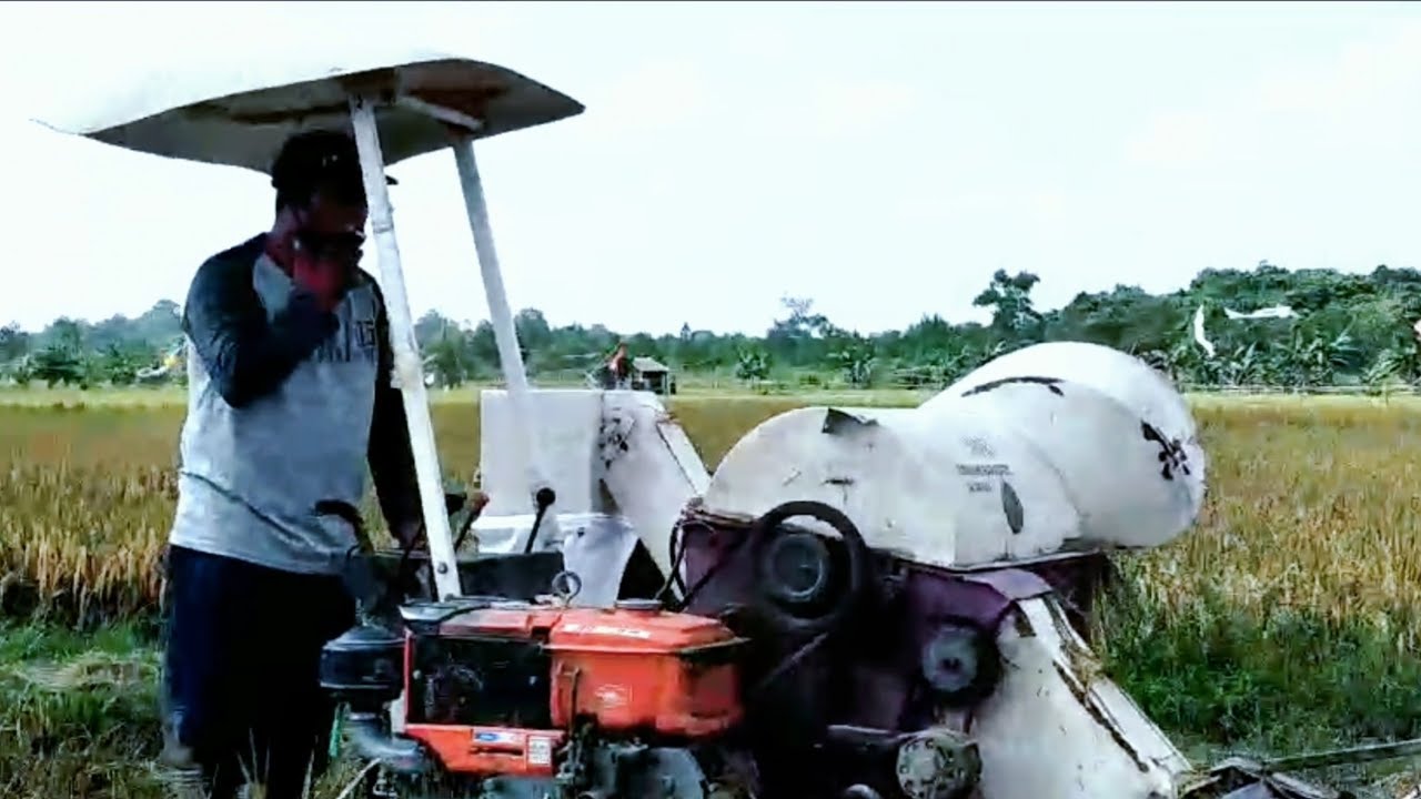 Combine Harvester Mesin Panen padi INARI - YouTube