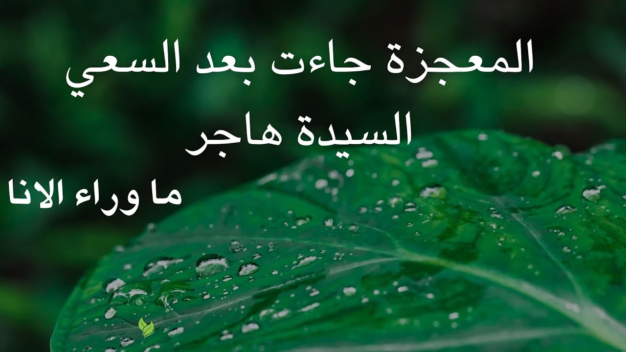 السيدة هاجر: الإيمان حين لا يكون أمامك إلا أن تتحرّك - YouTube