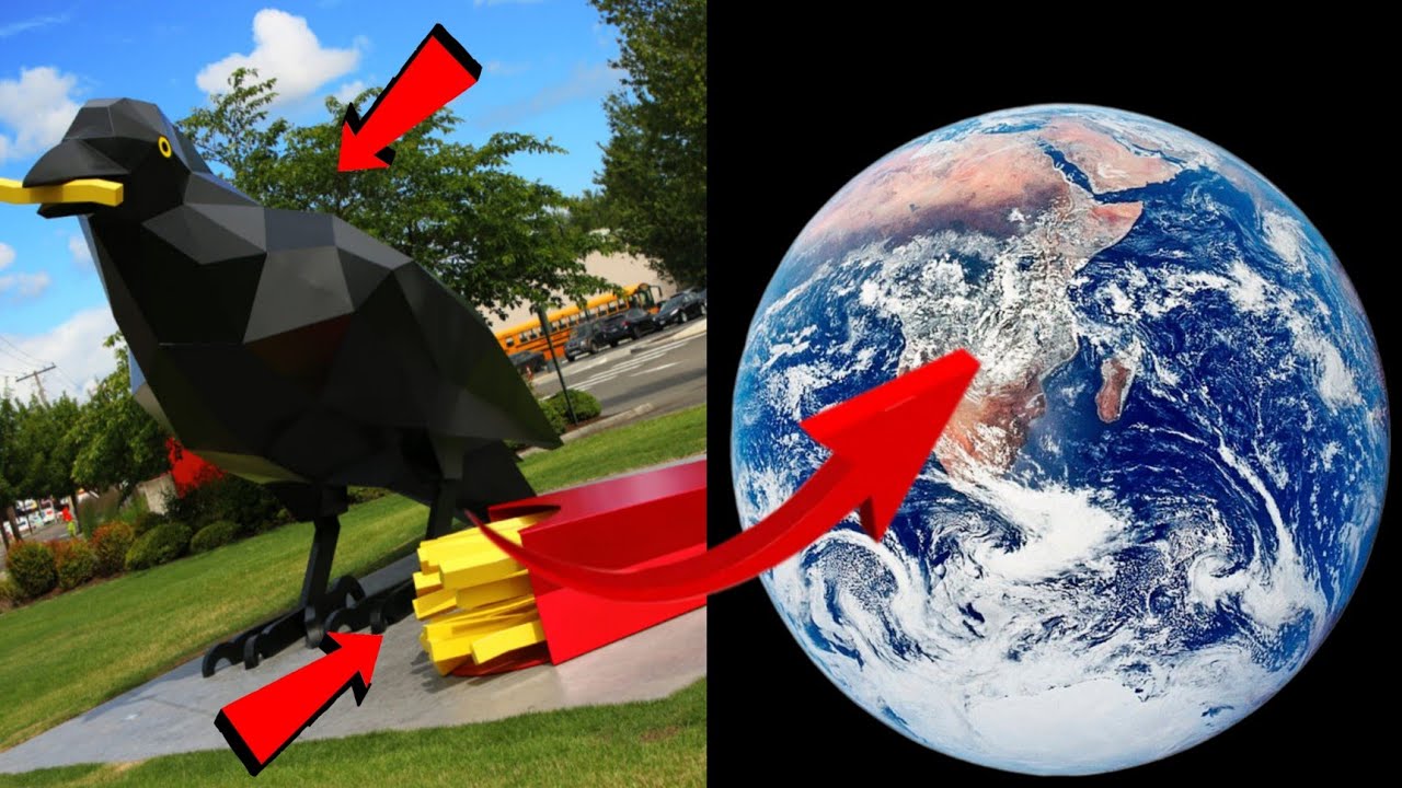 Giant Crow Found in Real Life on Google Earth 🐦😰 - YouTube