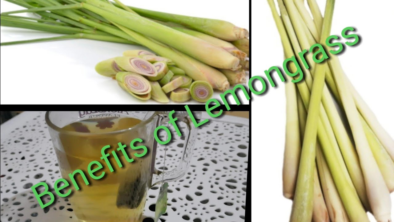 Health benefits of Lemongrass or Tanglad By:AnalynV - YouTube