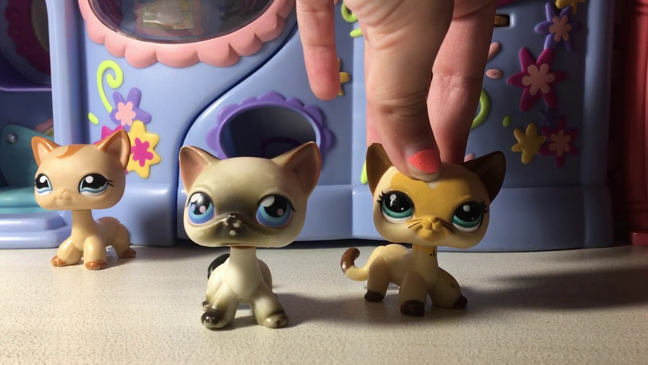 LPS: all my Lps shorthair cats! - YouTube