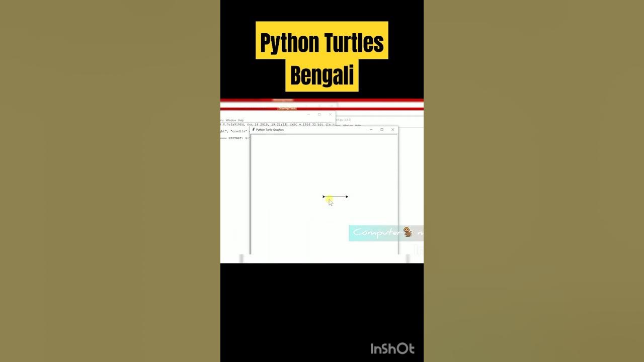 Python Turtles Program Free Learn in Bengali. 🐢 #turtle #computerknowledge #python - YouTube