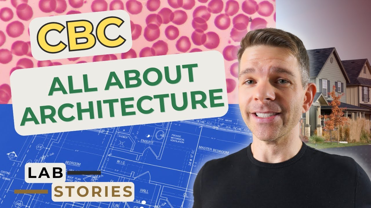 CBC Complete Blood Count | Red Blood Cells | White Blood Cells ...