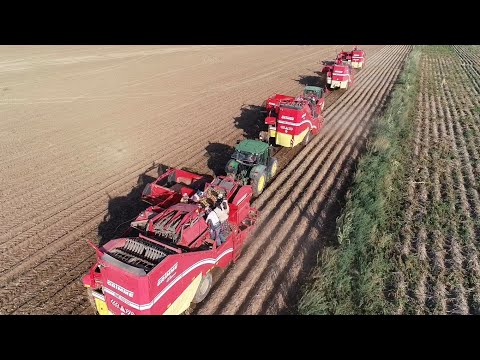 4 MAKİNA İLE CİPSLİK PATATES HASADI