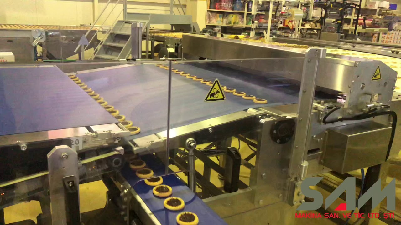 Sam Machinery “FlowPack Packaging and Row Distribution System” - YouTube