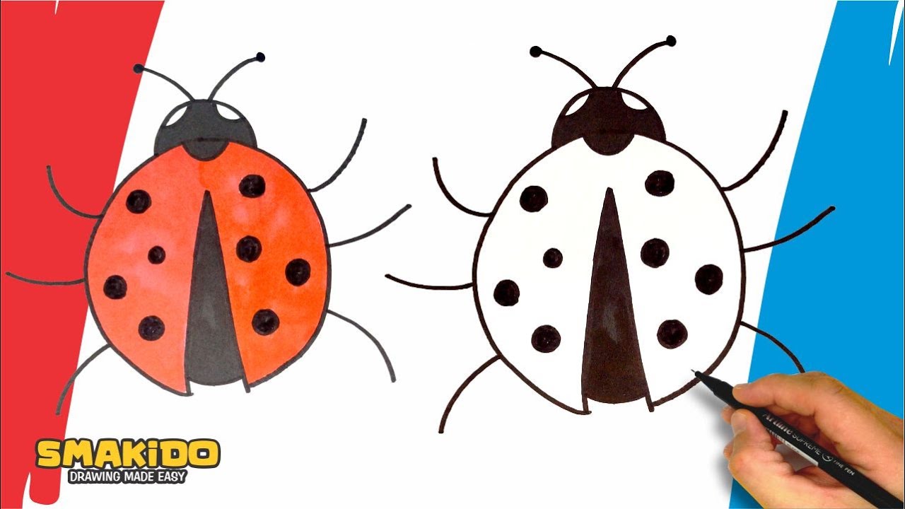 How to Draw Ladybugs Step By Step For Kids and Beginners | Easy Ladybug ...