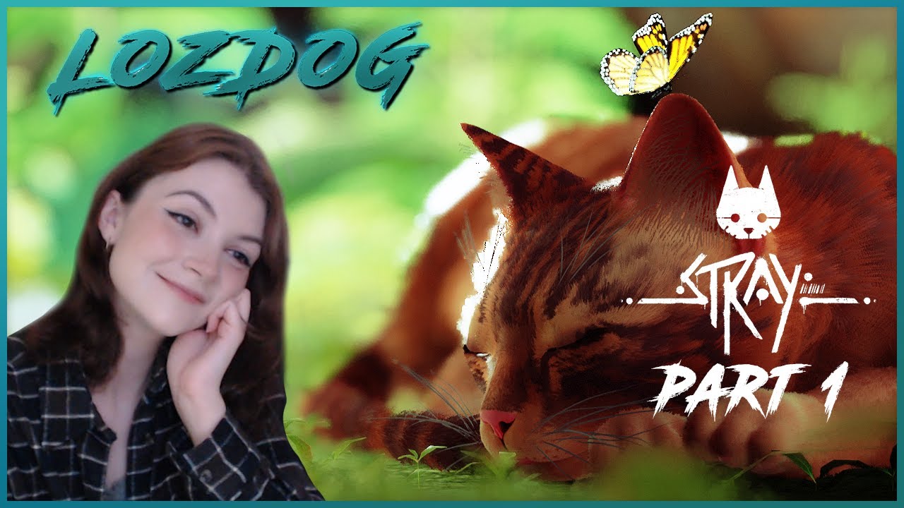 CUTEST GAME EVER | Lozdog plays Stray: Part 1/2 - YouTube
