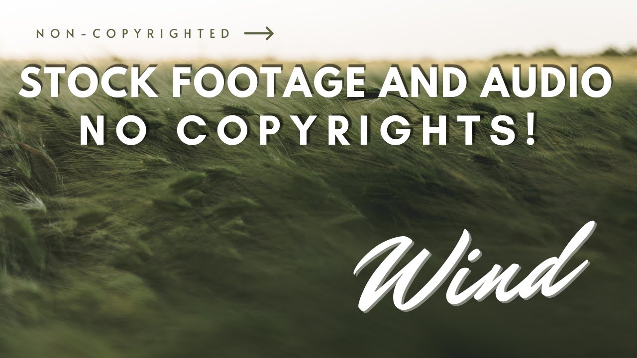 4K Stock Wind Footage and Sound | Non-Copyright Wind, Clouds, Birds ...