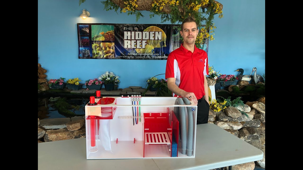 ProClear Aquatics Red Flex 4-1 Sump - YouTube