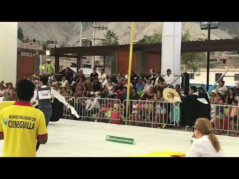 Jorge Pexo y Stephany rojas - YouTube