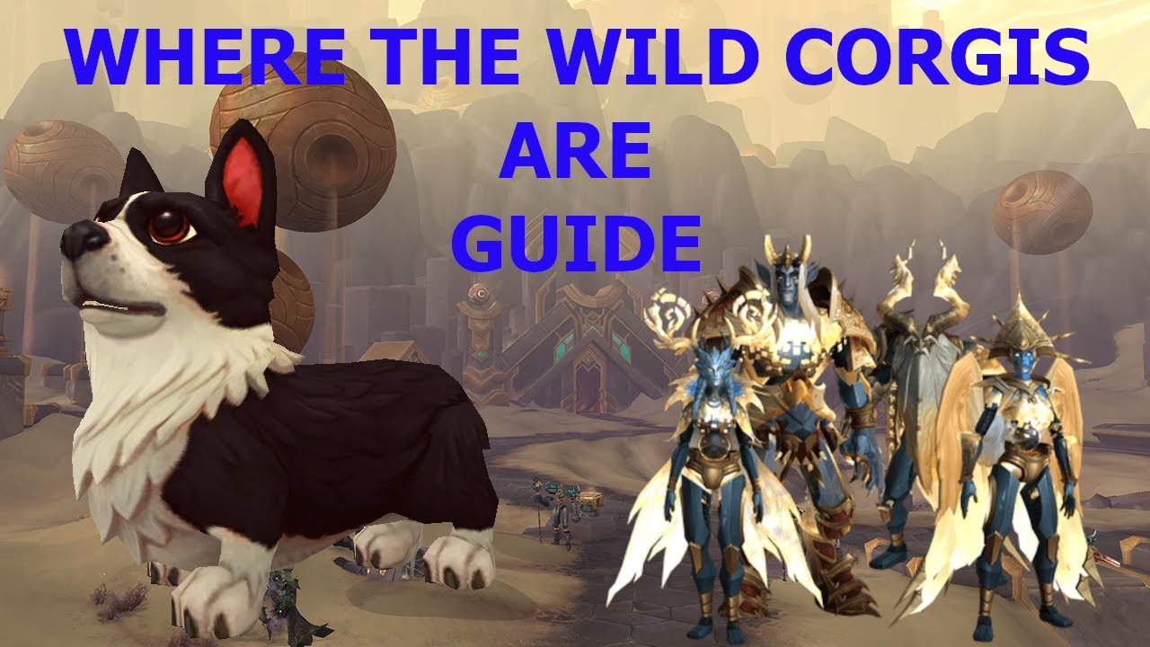 Where the wild corgis are WOW [GUIDE] - YouTube