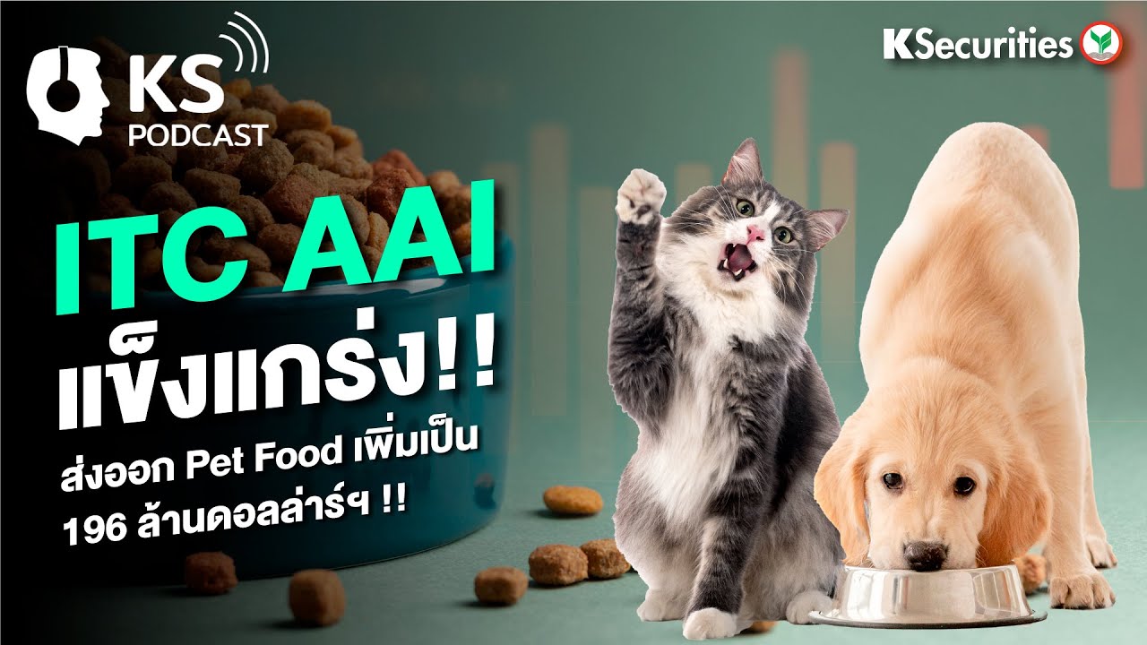 ITC AAI แข็งแกร่ง!! ส่งออก Pet Food เพิ่มเป็น 196 ล้านดอลล่าร์ฯ - YouTube
