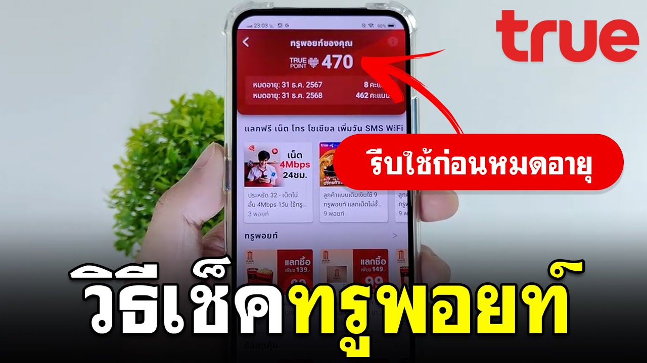 วิธีเช็คทรูพอยท์ | ท รู พอยท์ TruePoint - YouTube