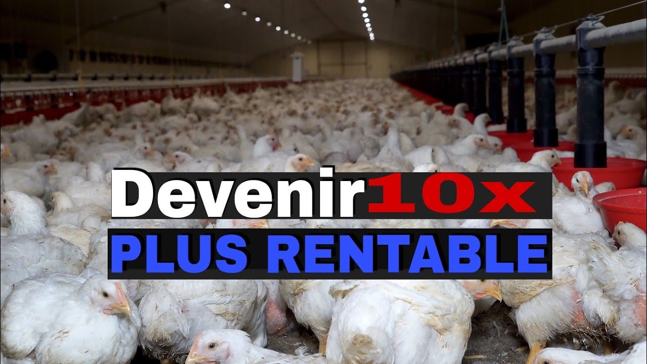 É𝐥𝐞𝐯𝐚𝐠𝐞 : 𝐂𝐨𝐦𝐦𝐞𝐧𝐭 𝐝𝐞𝐯𝐞𝐧𝐢𝐫 𝐓𝐑È𝐒 𝐫𝐞𝐧𝐭𝐚𝐛𝐥𝐞 | AGIR-ENTREPRENEURIAT - YouTube