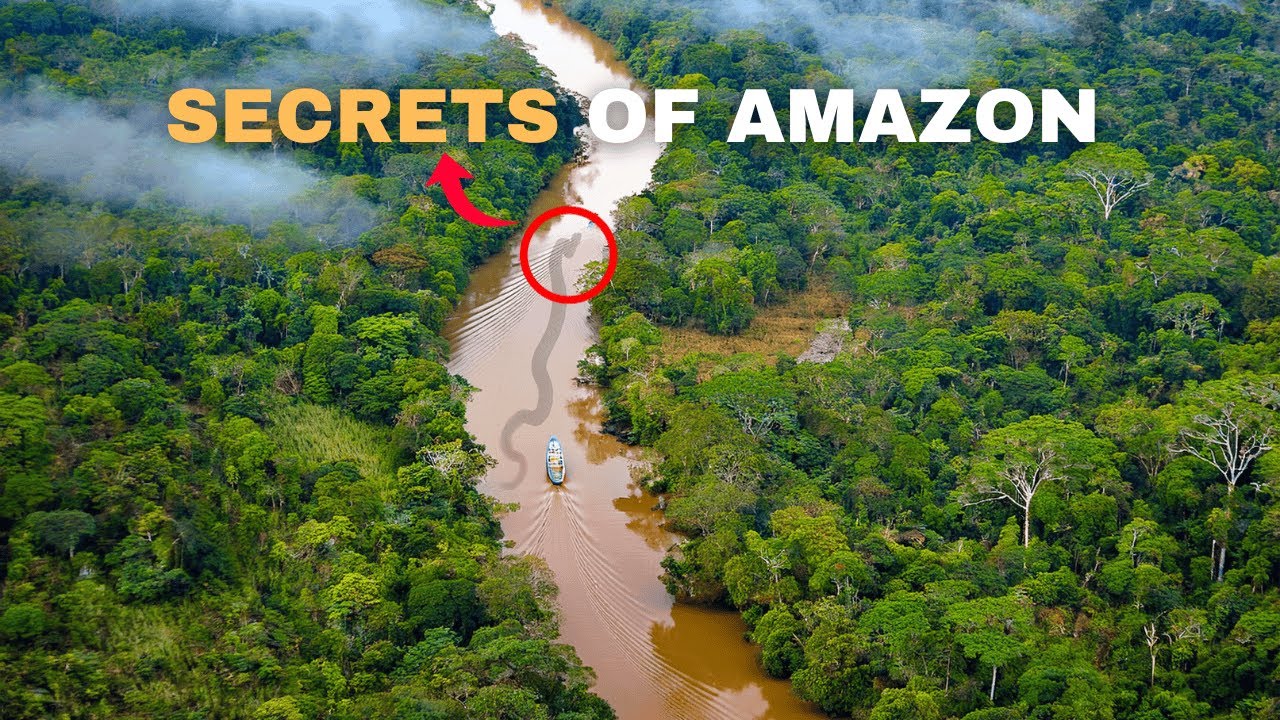 Deadliest Animals of Amazon Rainforest | Secrets revealed - YouTube