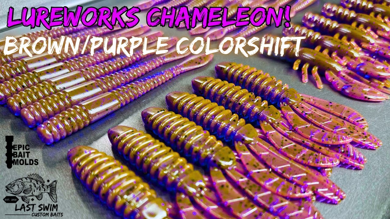 Amazing Brown/Purple Colorshift! | Lureworks Chameleon! - YouTube
