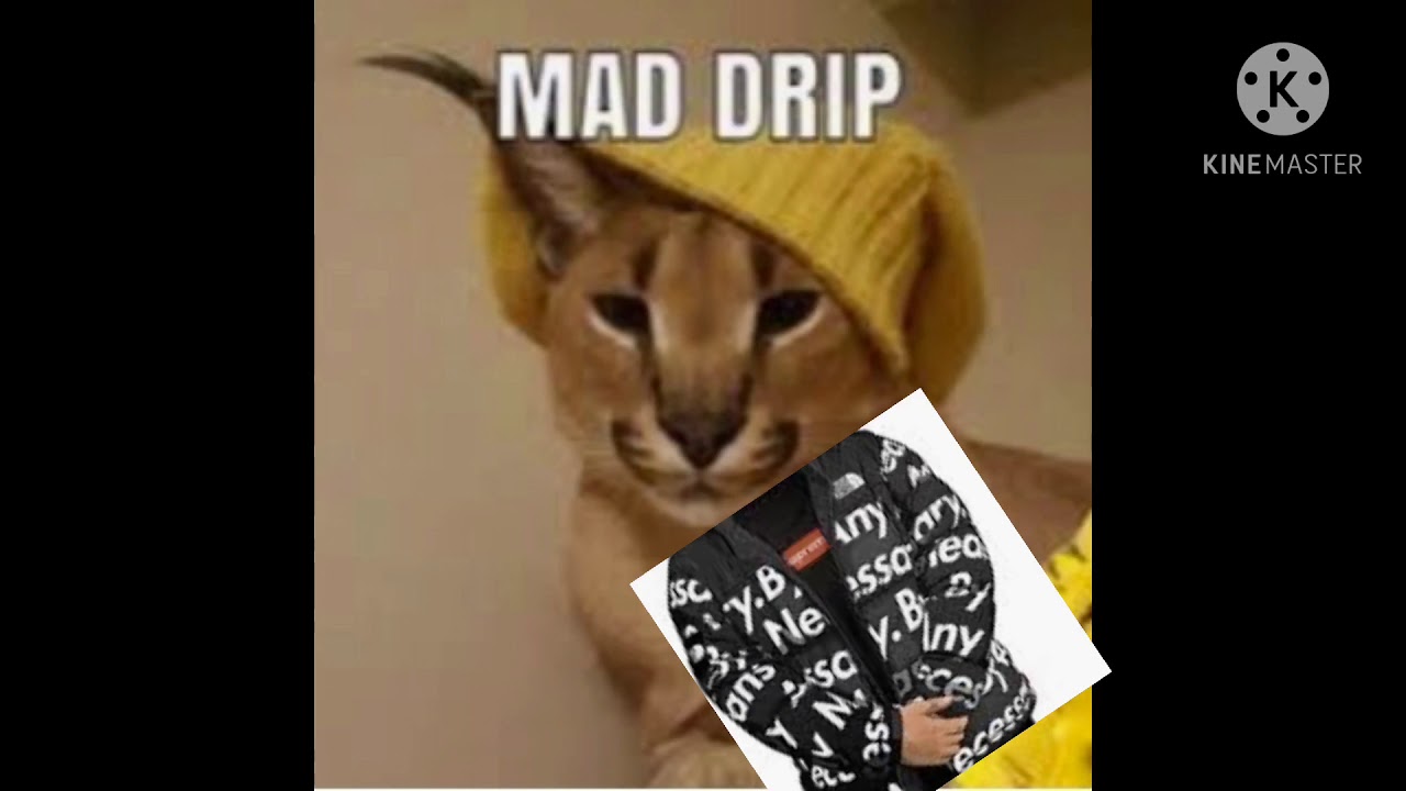 Floppa got the drip - YouTube