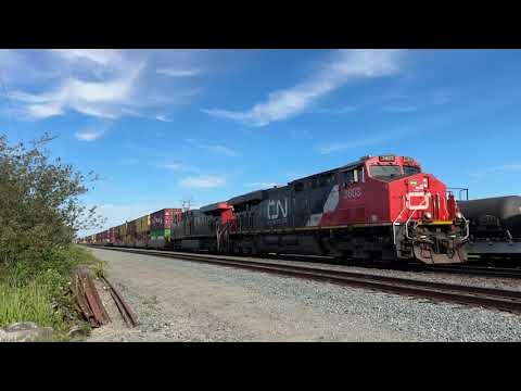 Once A Week Intermodal!! CN 109 @ Colebrook BC Canada 10JUN24 ES44AC 3803 Leading - YouTube