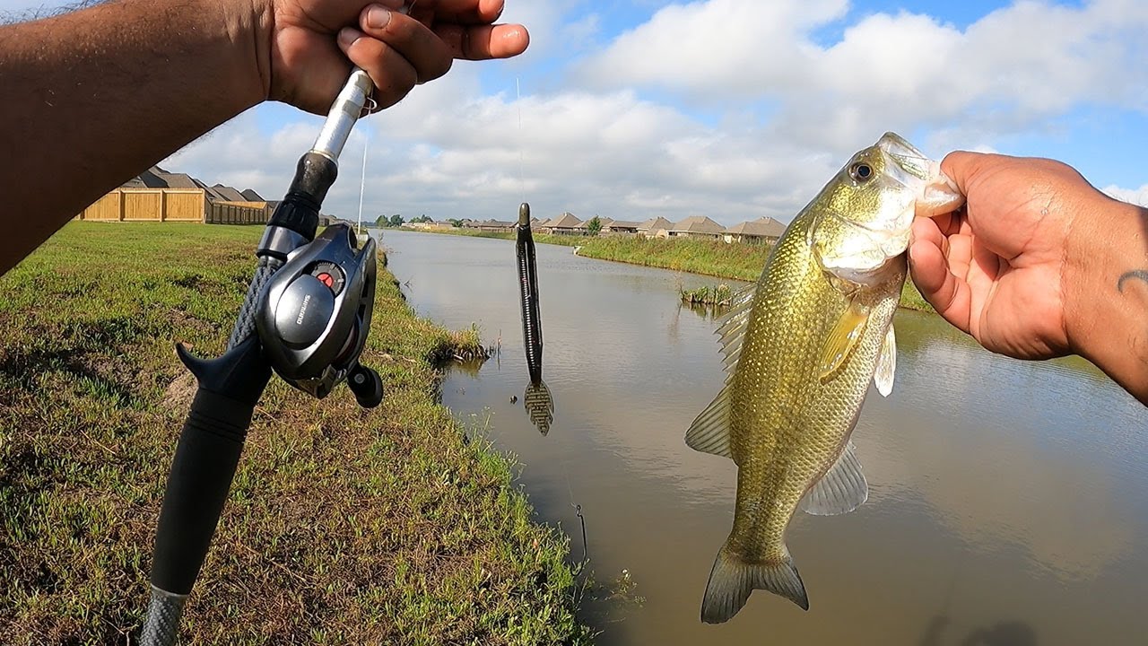 BASS FISHING in my BACKYARD!!! - YouTube