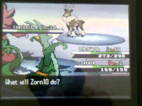 Pokemon Black and White: Disobedient Krookodile - YouTube