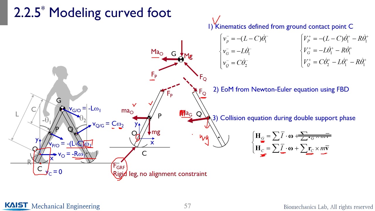 ME585 2.2.5 Curved foot model - YouTube