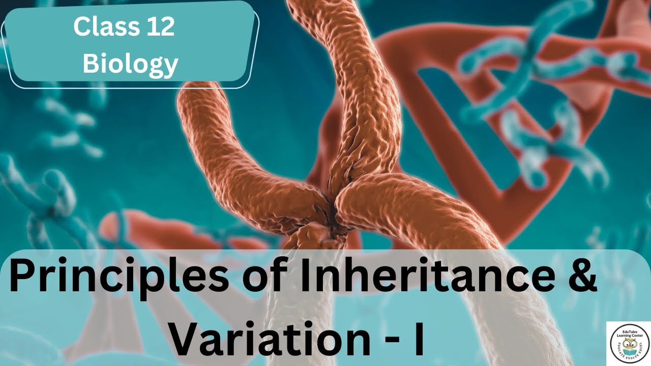 Principles of Inheritance and Variation // CBSE Class 12 Biology ...