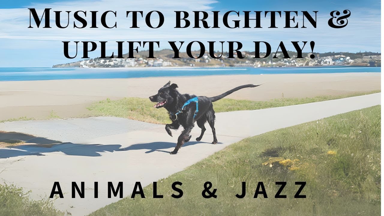 Animal Jazz | Bright and Uplifting | Healing | Music for the Soul - YouTube