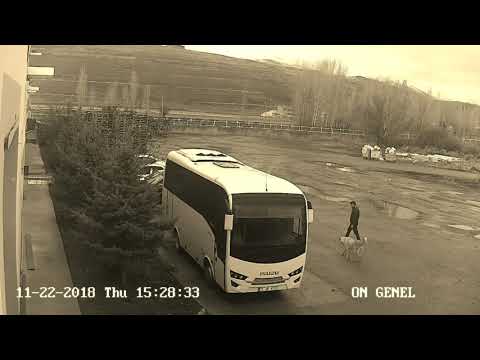 ZİNCİRİNİ KOPARAN KANGAL ADAMA SALDIRIYOR !