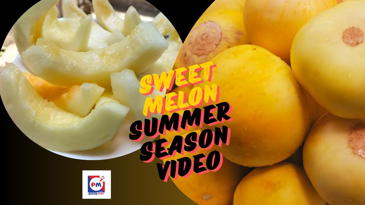 Sweet Melon Fruit Recipe | Best Summer Season Fun | Piccolo Mondo Foods ...